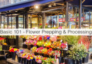 Basic 101- Flower Prepping & Processing - Floranext - Florist Websites ...