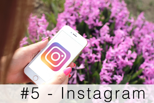 Top 8 Social Media Sites For Florists – Flowers And Designs