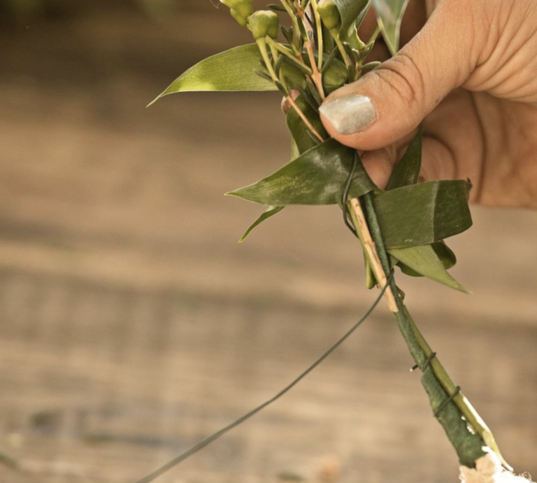 10 Floral Tools Every Florist Should Have - Floranext - Florist ...