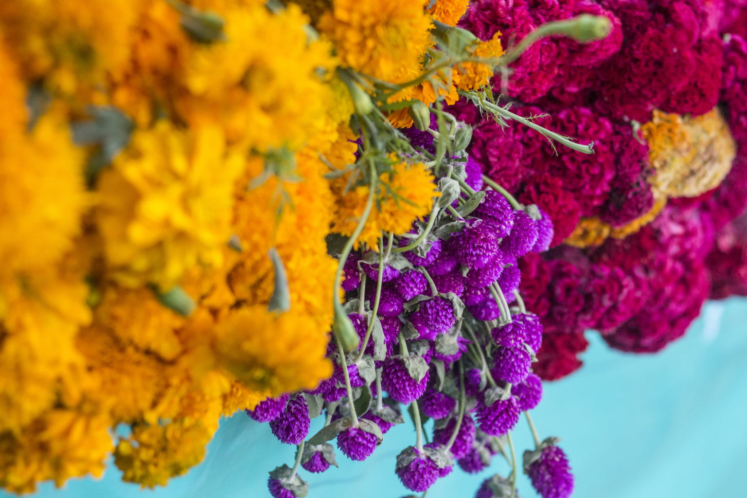 Dia De Los Muertos for Florists - Floranext - Florist Websites, Floral ...