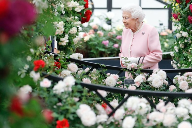 Floral History | A Look At Royal Flowers - Floranext - Florist Websites ...