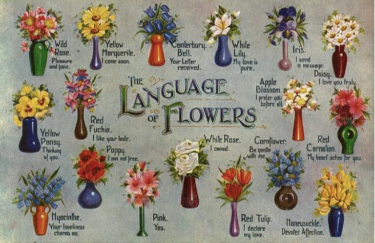 Floral History | A Look At Royal Flowers - Floranext - Florist Websites ...