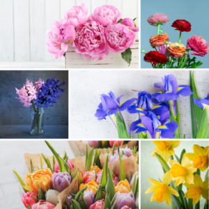 Blog - Floranext - Florist Websites, Floral POS, Floral Software