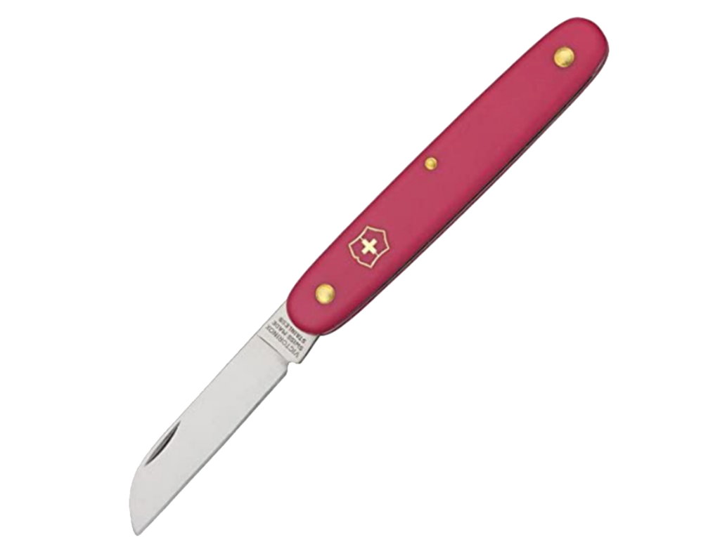 10 Floral Tools Every Florist Should Have - Floranext - Florist ...