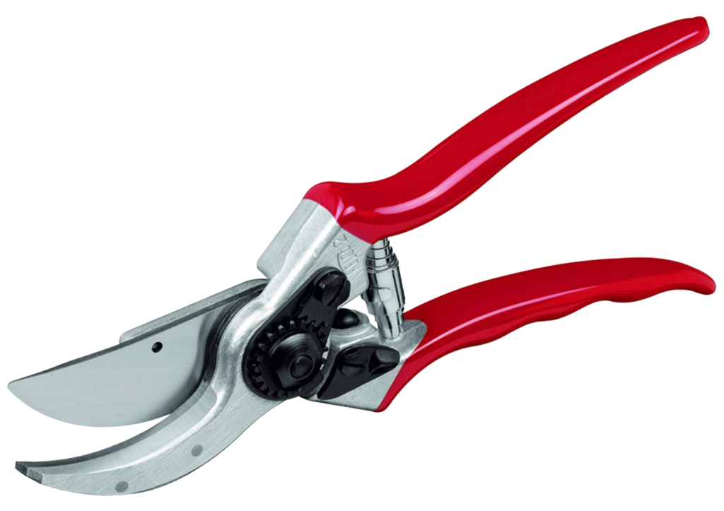 10 Floral Tools Every Florist Should Have - Floranext - Florist ...